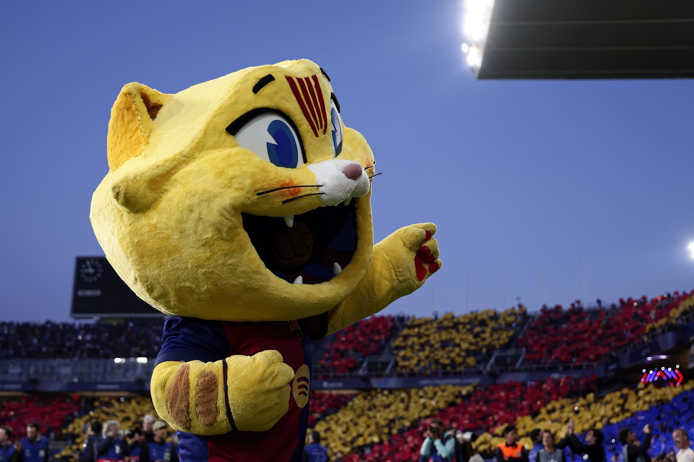 La mascotte del Barcellona, Cat, sta avendo un successo clamoroso e ...